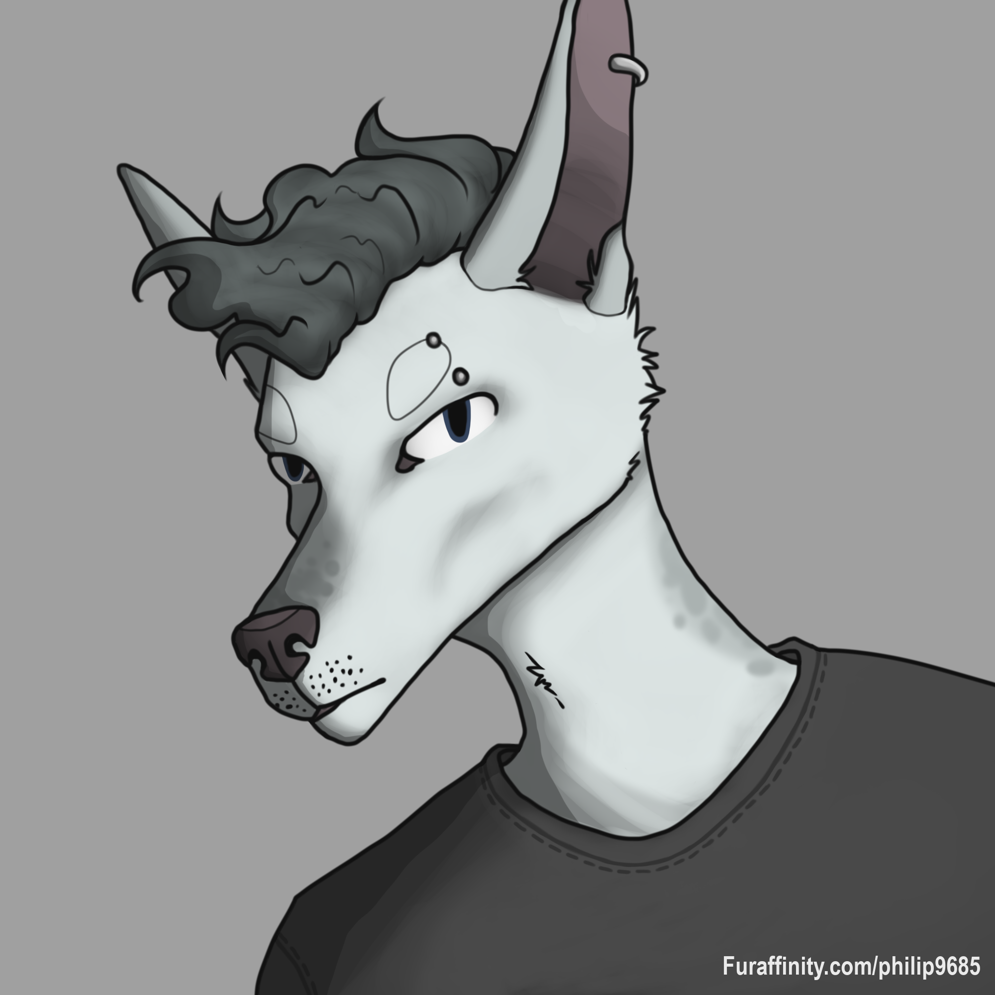 Furaffinity - Support Creators Content